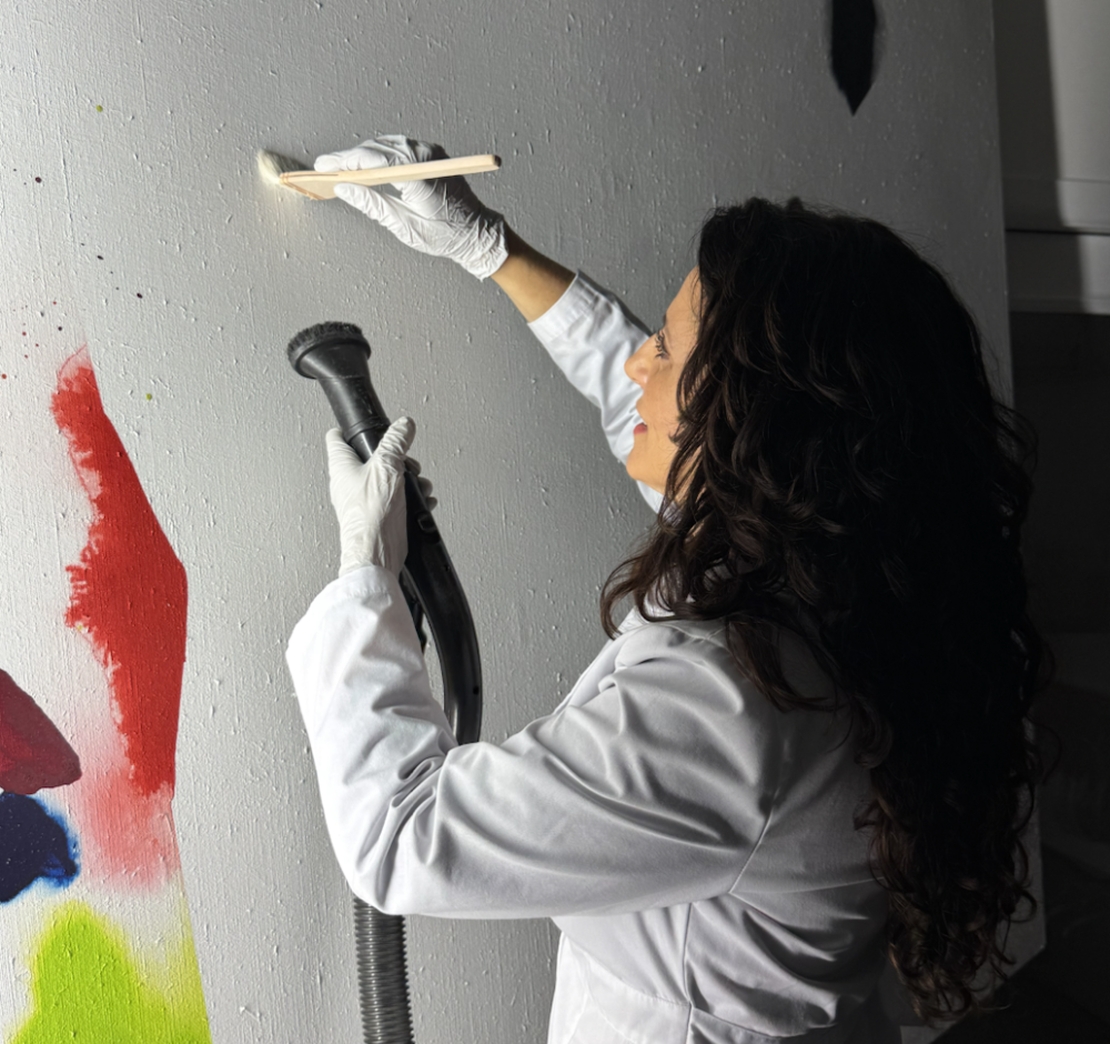 Should I Dust My Paintings? - Stella Art Conservation